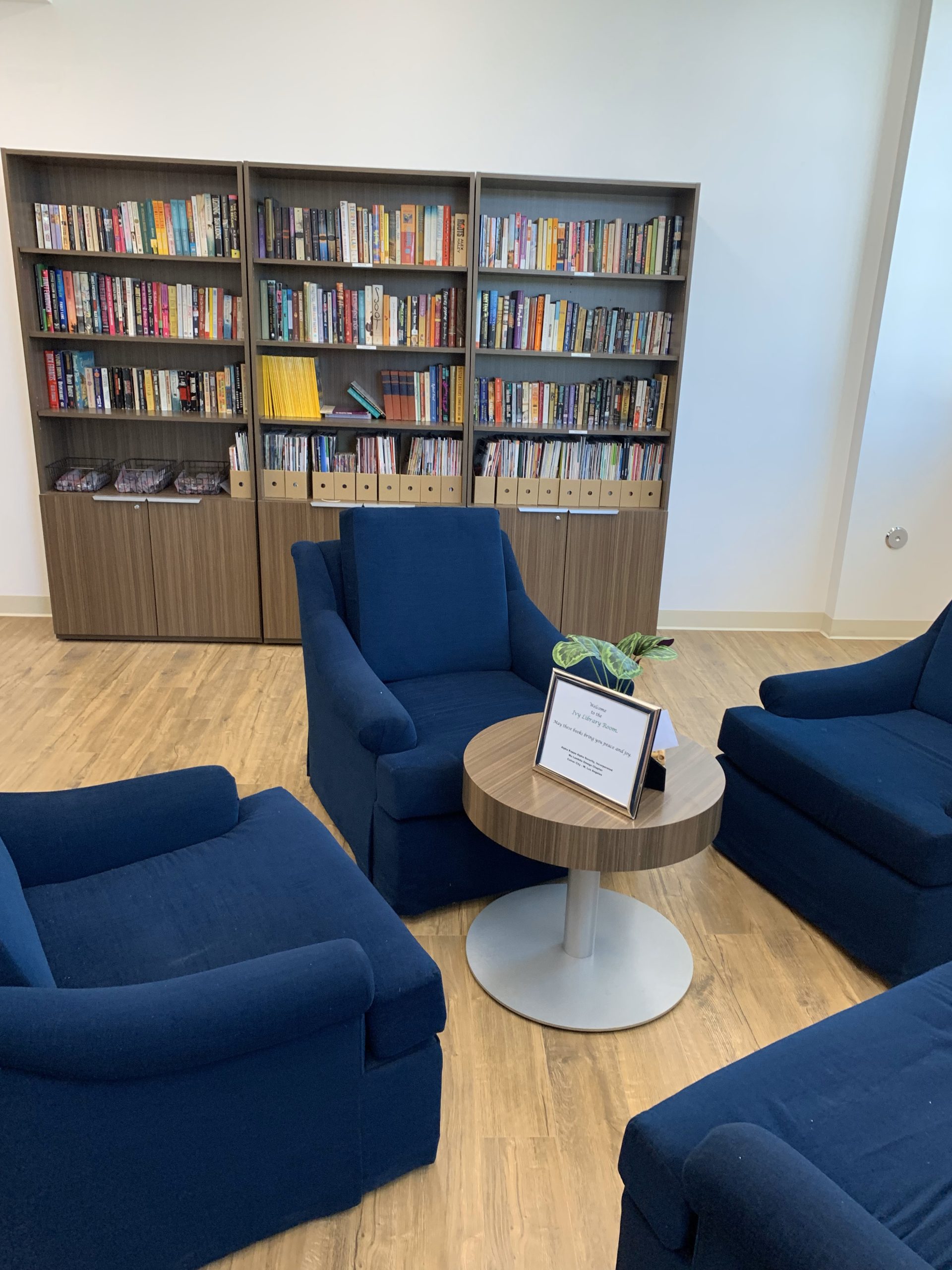 Programs – The Ivy Centennial Foundation, Inc